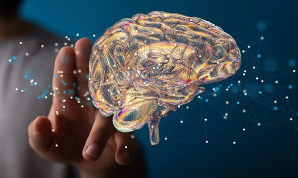 Analytica: 5 Trends in the Modern Lab | Digital Brain Twin to Fight ...
