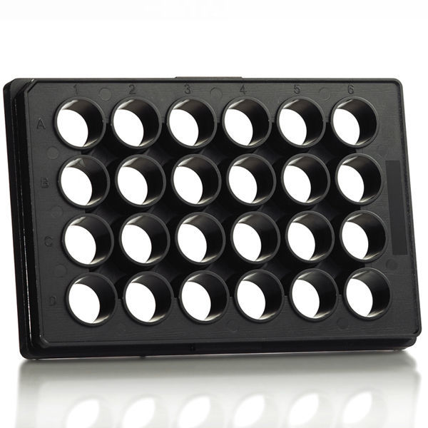 Fluorescence microplate - 4ti-024series - Azenta life sciences ...