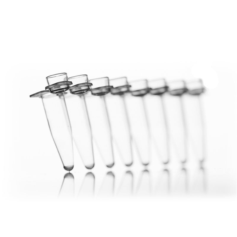 PCR test tube - 4ti-079 series - Azenta life sciences - fluorescence ...