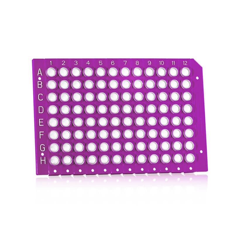 Laboratory microplate - FrameStar® - Azenta life sciences - 96-well / 8 ...