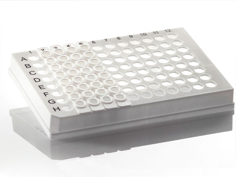PCR microplate - 4ti-075 series - Azenta life sciences - 96-well