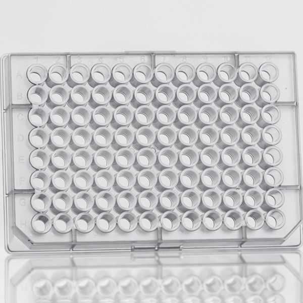 Absorbance microplate - 4ti-0234 - Azenta life sciences - 96-well