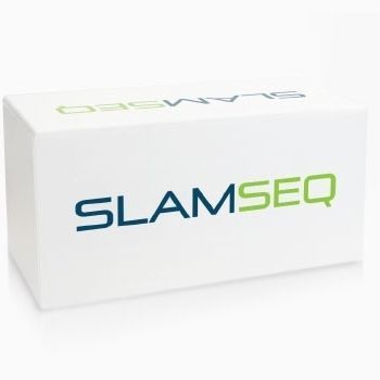 Solution reagent kit - SLAMseq - lexogen - NGS / for single cell RNA ...