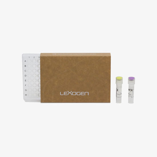 Enzyme reagent kit - 07.96 - lexogen - buffer solution / for PCR