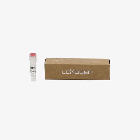 Solution reagent kit - UMI - lexogen - for DNA sequencing