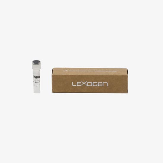Solution reagent kit - BC1 - lexogen - for RNA library preparation