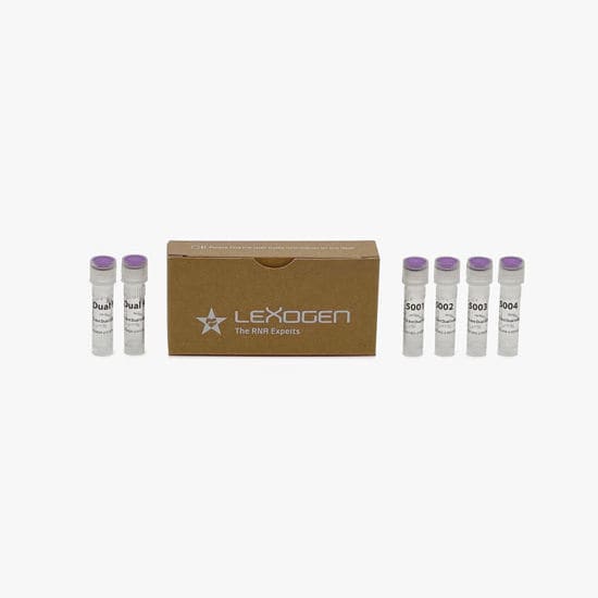 Solution reagent kit - 047.4x96 - lexogen - for single cell RNA sequencing
