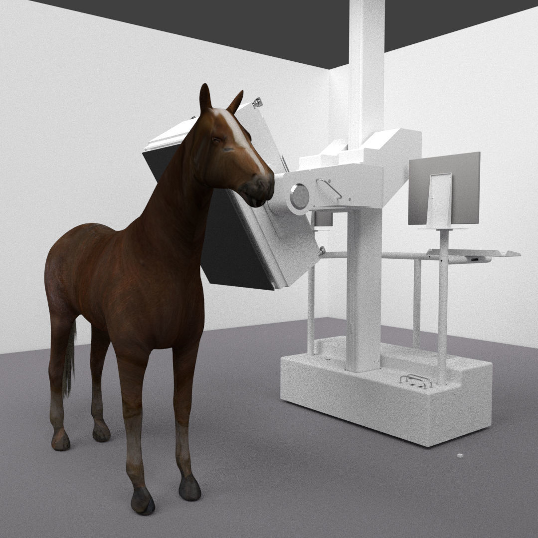 Veterinary CT scanner - MIE - for equines
