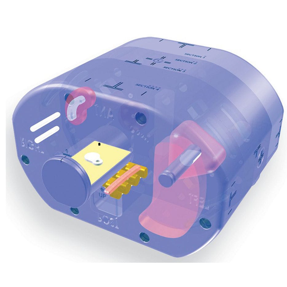 Radiation therapy test phantom - Thor‑X - Standard Imaging - abdomen