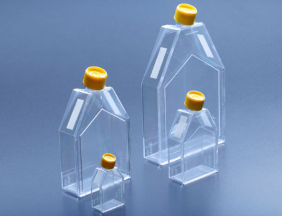 Tissue culture flask - 90 series - TPP Techno Plastic Products ...