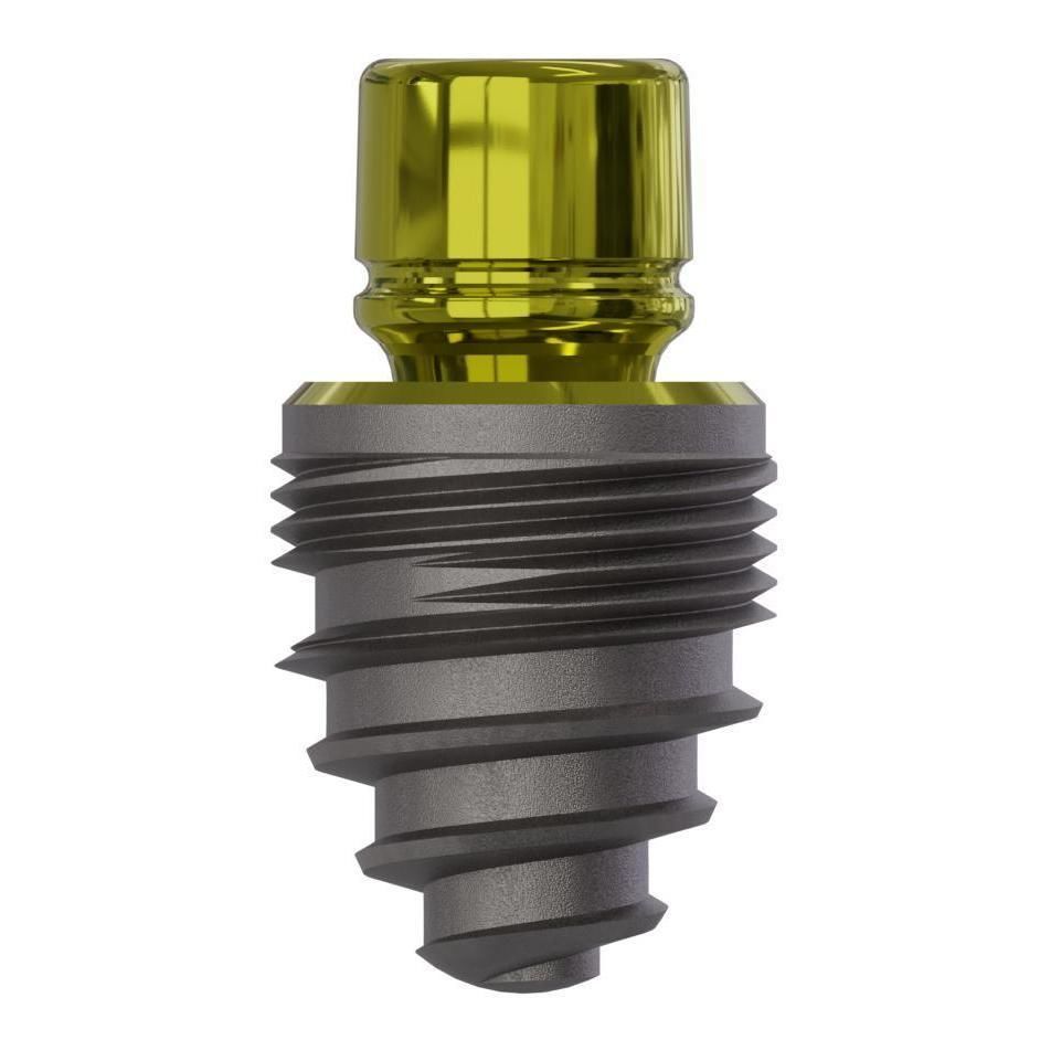 Conical dental implant - 0810 - Champions Implants GmbH - titanium ...