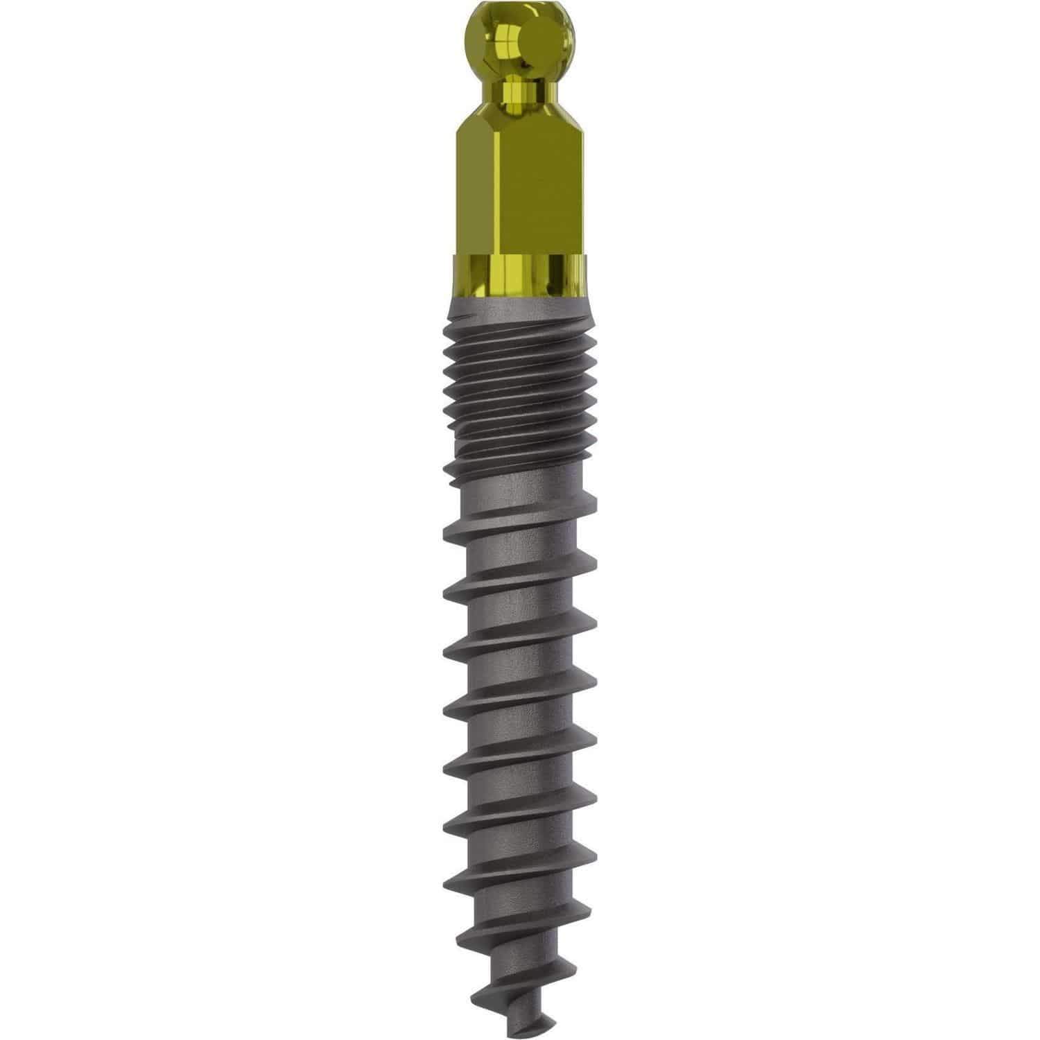 Conical dental implant - 2040 - Champions Implants GmbH - titanium ...