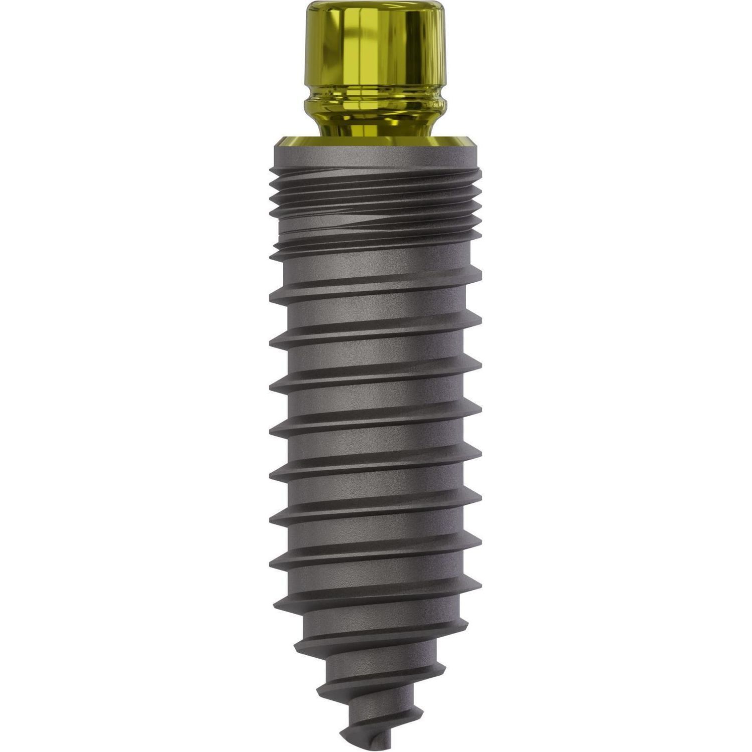 Conical dental implant - 0885 - Champions Implants GmbH - titanium ...
