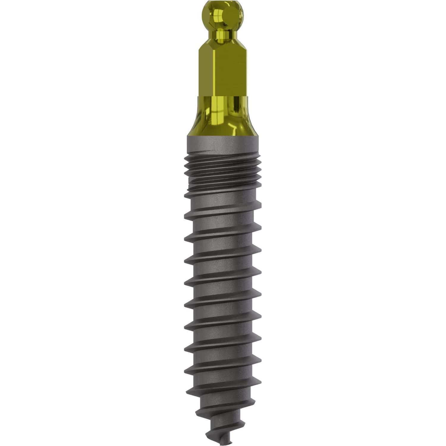 Cylindrical dental implant - 2070 - Champions Implants GmbH - titanium ...