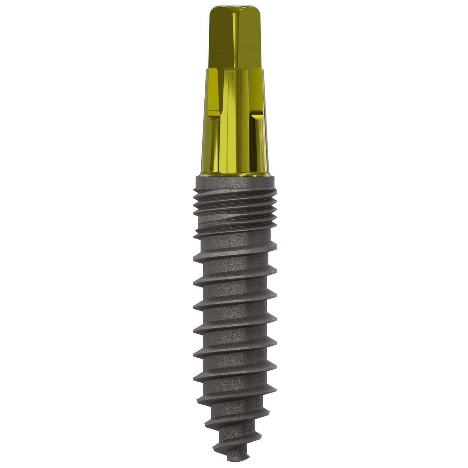 Conical dental implant - 1097 - Champions Implants GmbH - titanium ...