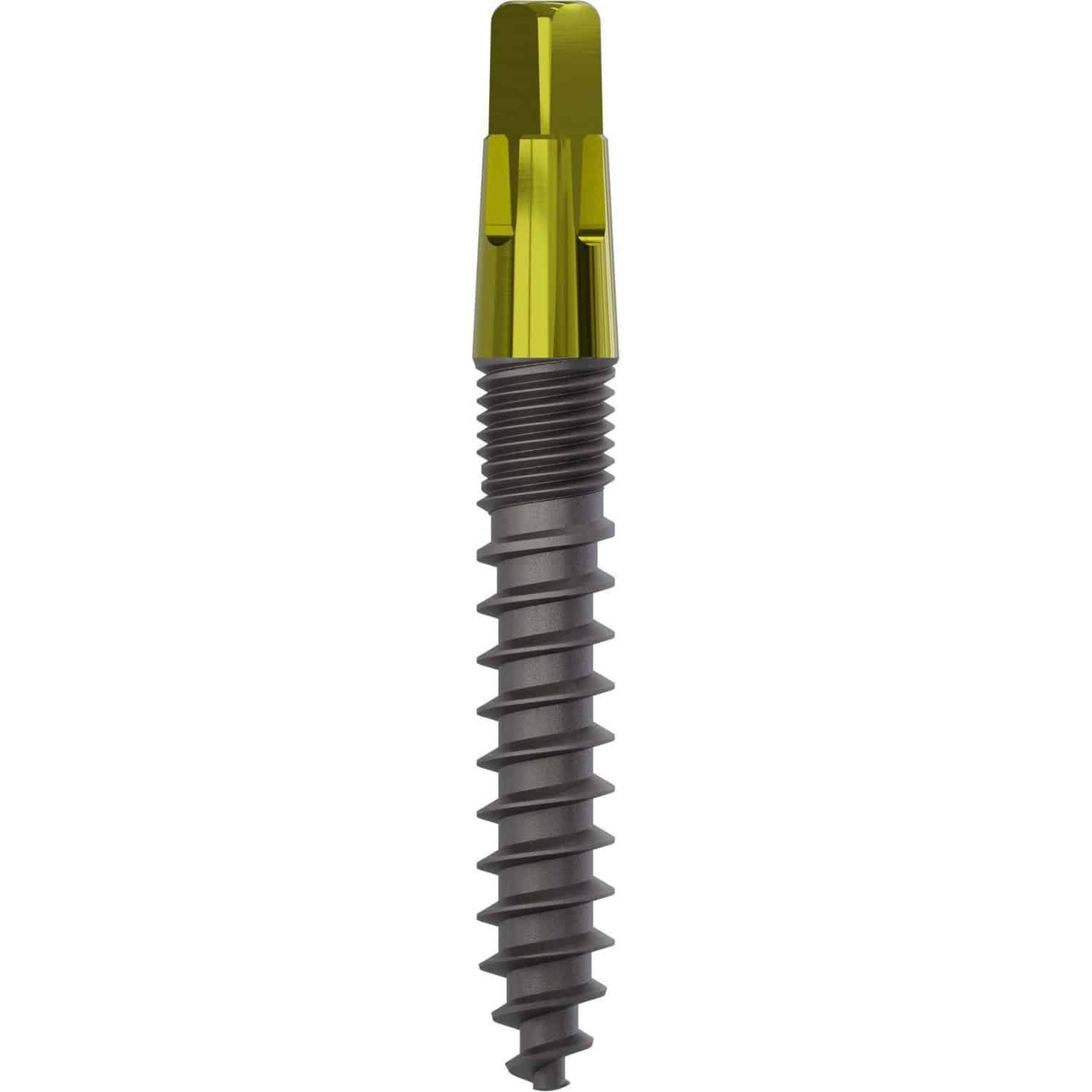 Conical dental implant - 1120 - Champions Implants GmbH - titanium ...