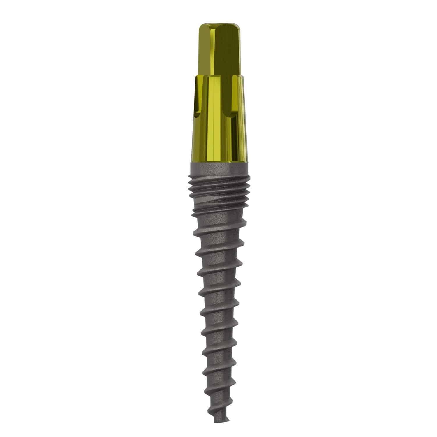 Conical dental implant - 1135 - Champions Implants GmbH - titanium ...