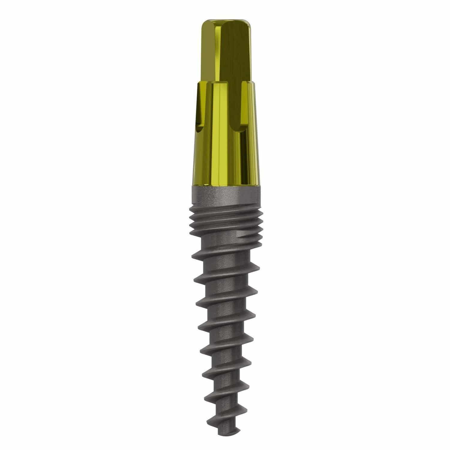 Conical dental implant - 1025 - Champions Implants GmbH - titanium ...