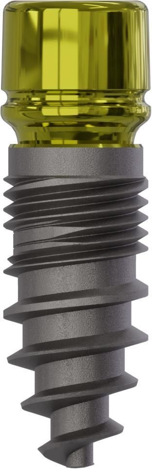 Conical dental implant - 0815 - Champions Implants GmbH - titanium ...