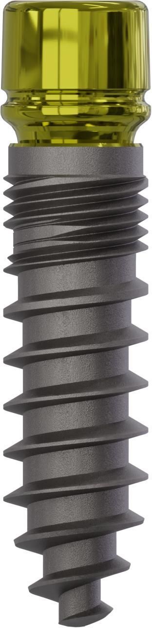 Conical dental implant - 0845 - Champions Implants GmbH - titanium ...