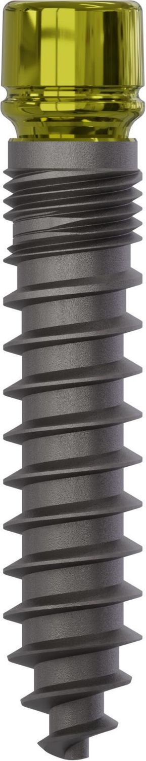 Conical dental implant - 0875 - Champions-Implants GmbH - titanium ...