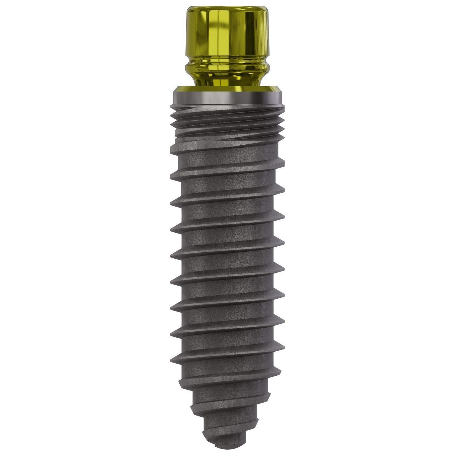 Cylindrical dental implant - 0882 - Champions Implants GmbH - titanium ...