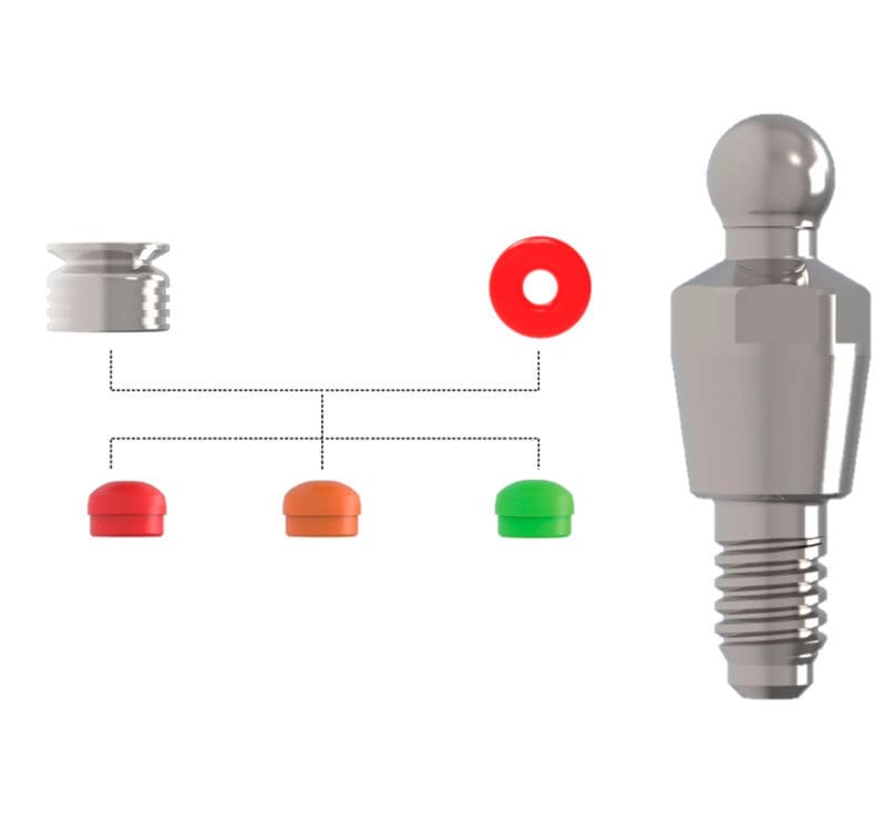 Conical implant abutment - Int. Ball - Cowellmedi - titanium / internal / conical