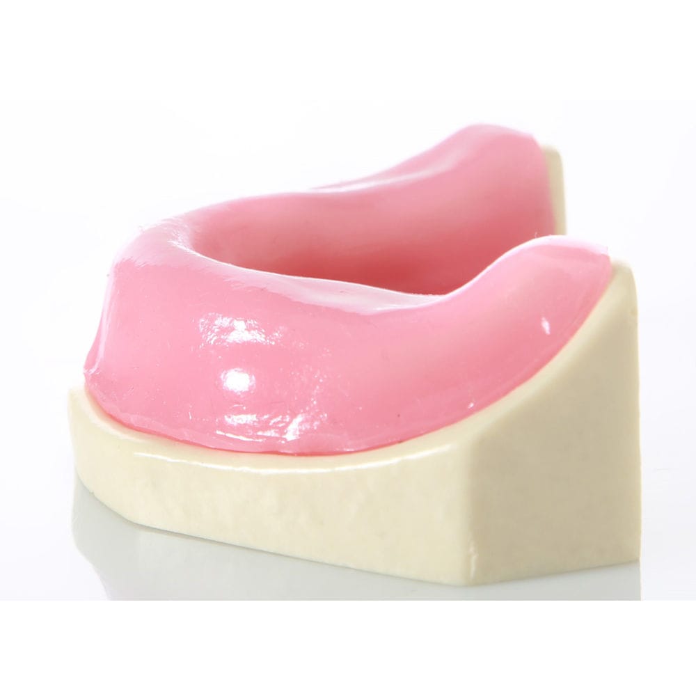 Mandible model - E21 - GF DENTAL - gingival / for implantology / for ...