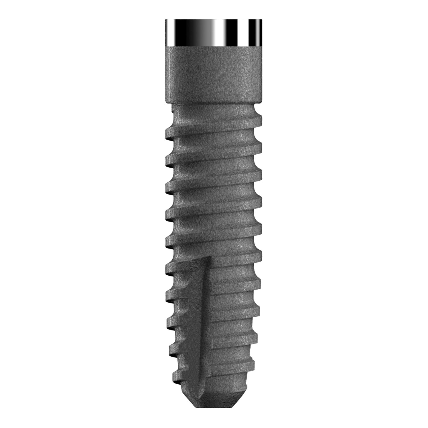 Cylindrical dental implant - Ziveco Group - titanium / internal hexagon ...
