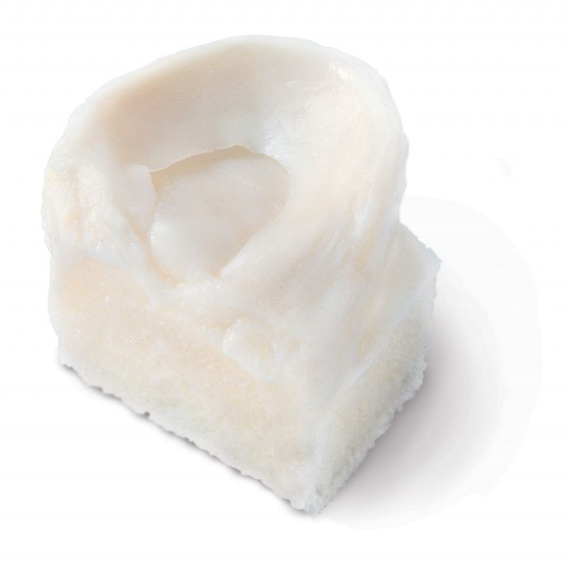 Allograft meniscus implant - BioCleanse® - RTI Surgical