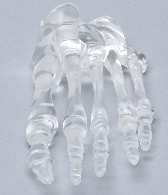 Bone model - 1701-90 - Sawbones/Pacific Research Labs - foot / for ...