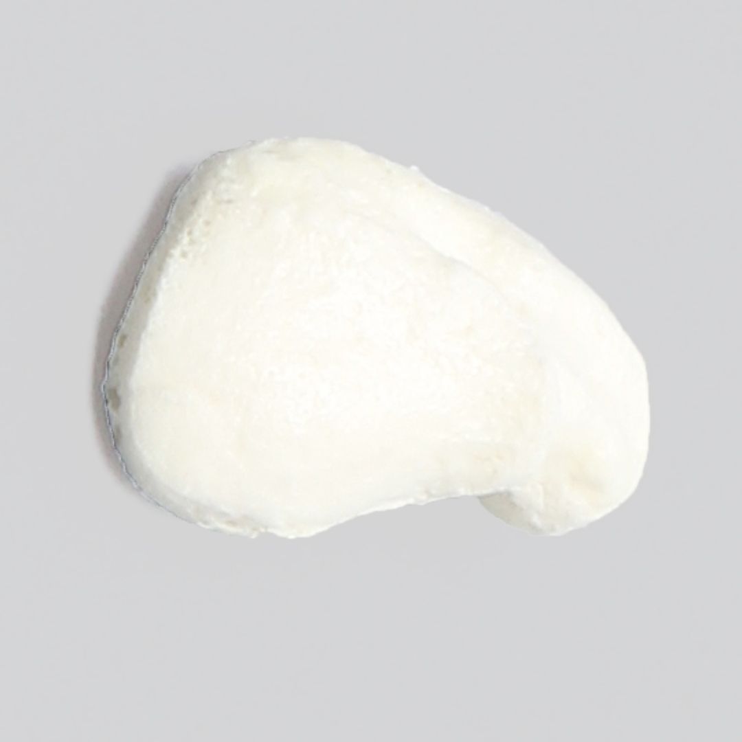 Skull model - 1010 - Sawbones/Pacific Research Labs - foam