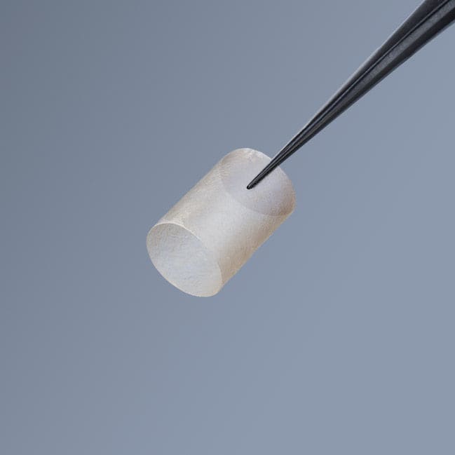 Nerve tissue matrix - axoguard ® - AxoGen - xenograft