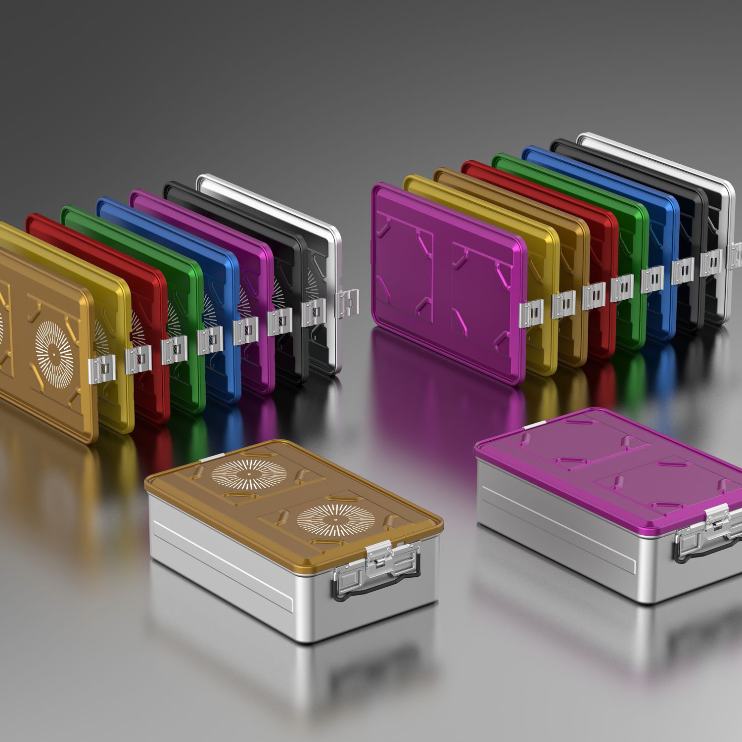 Instrument sterilization container - Standard Extra Large - Aygun ...