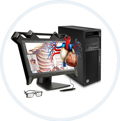 Anatomy simulator - EchoPixel True 3D - Hewlett-Packard - workstation ...
