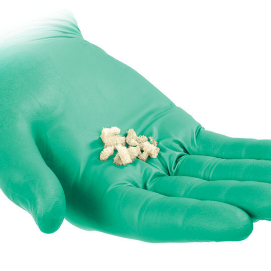 Allograft bone substitute - 71810 - Bone Bank Allografts - for ...