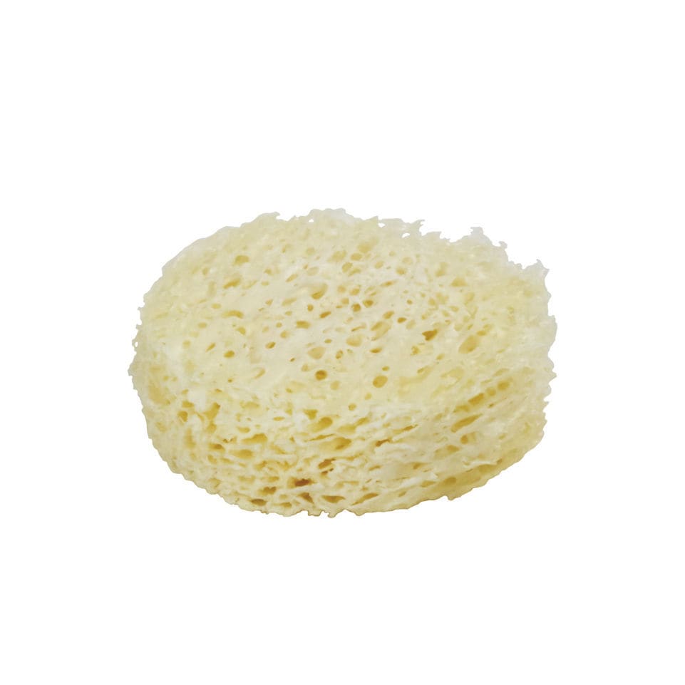 Allograft bone substitute - 76810 - Bone Bank Allografts - for ...