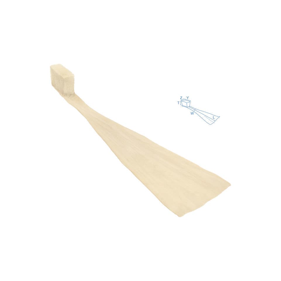 Calcaneal tendon ligament prosthesis - SteriGraft® - Bone Bank ...