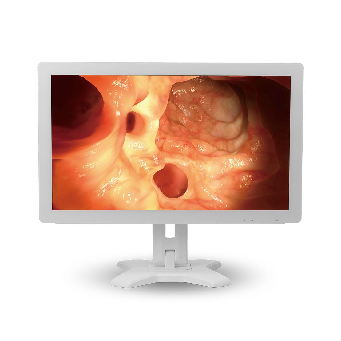 Endoscopy display - MMS-21C series - BriteMED Technology - full HD ...