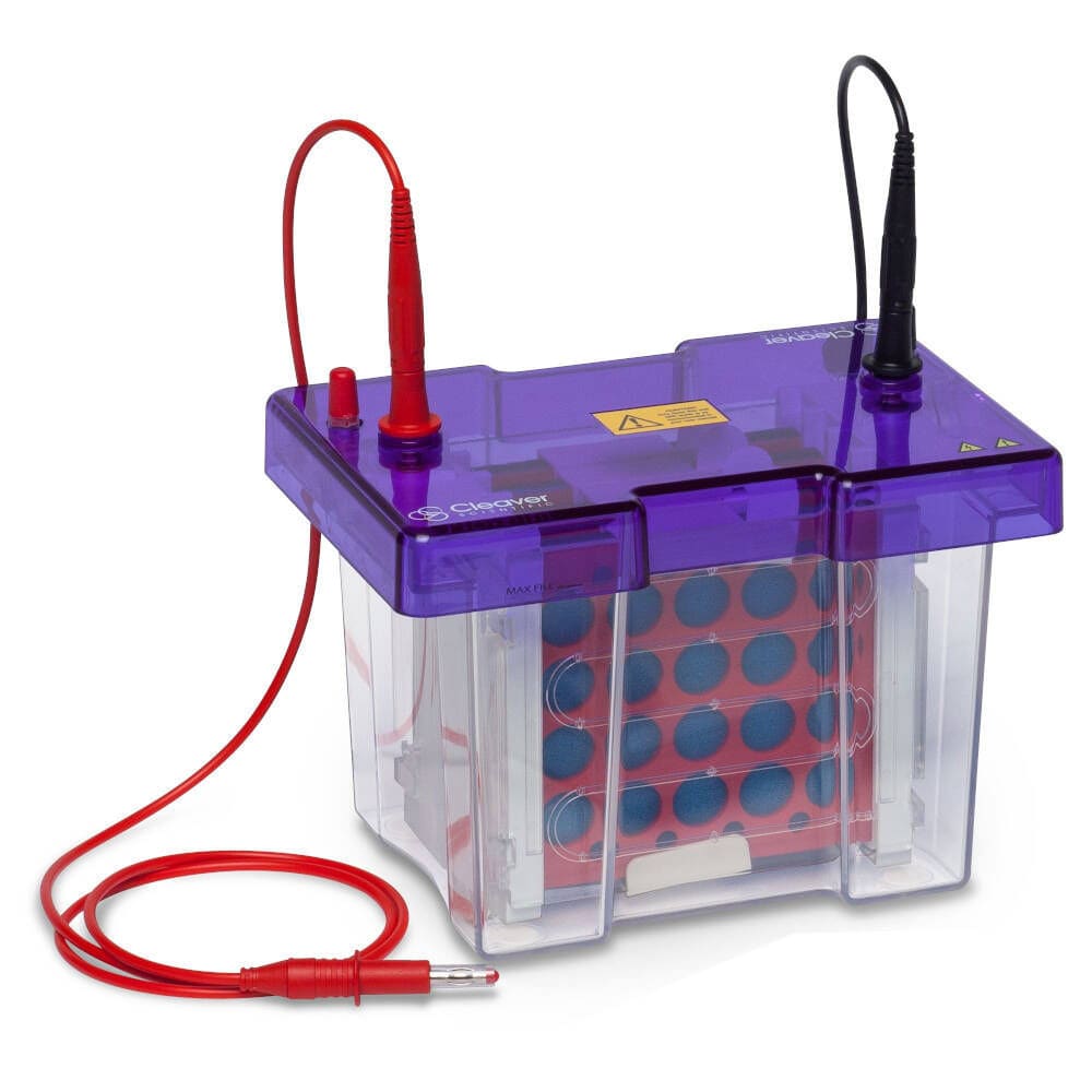 Western blot blotting tank - omniBLOT - Cleaver Scientific - for ...