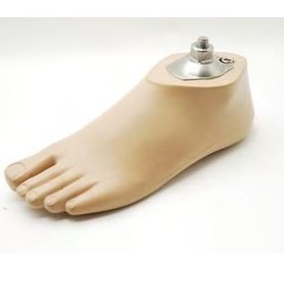 SACH prosthetic foot - 1.006.02 - Roadrunnerfoot Engineering - K2 / for ...
