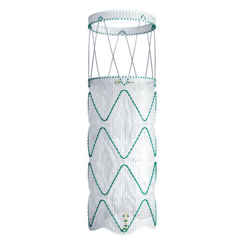 Abdominal aorta stent graft - DOMINUS® - Braile Biomedica - nitinol ...