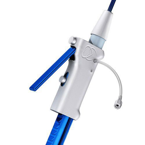 Descending thoracic aorta stent graft / polyester - Dominus - Braile ...