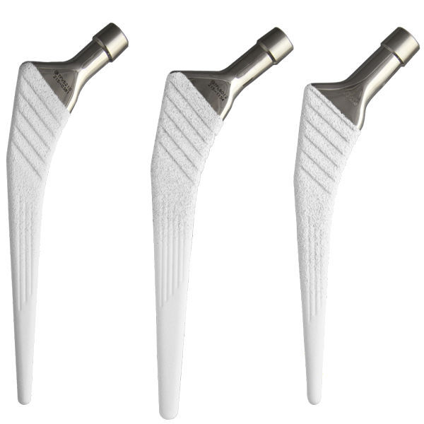 Cementless femoral stem - FORTRESS ND® - Biotechni