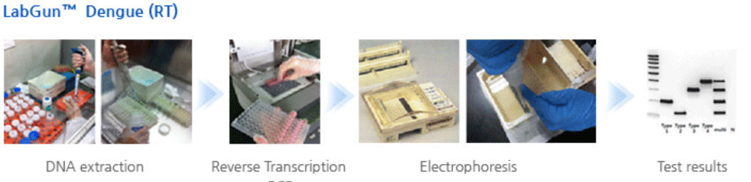 Laboratory reagent kit - LabGun™ Dengue RT - Labgenomics 700 ...