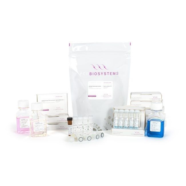DNA polymerase reagent kit - Clara™ Probe 1-Step Purple Mix - PCR ...