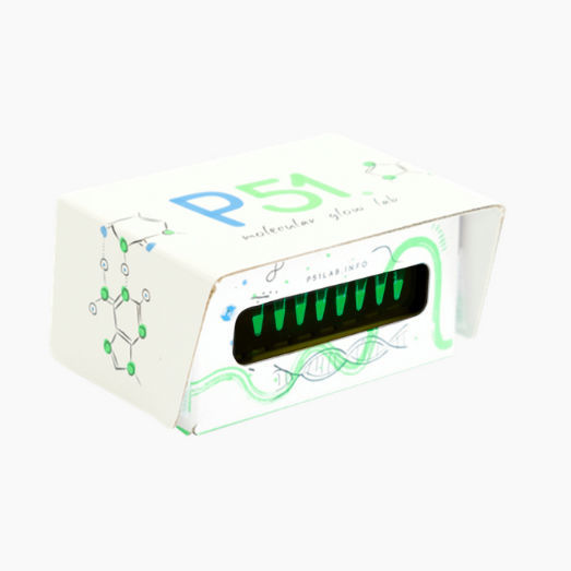 Fluorescence gel reader - P51™ - Amplyus - for DNA / for proteins / for RNA