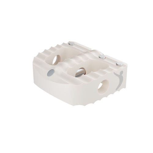 Cervical interbody fusion cage - PROYSTER™ - Prodorth Spine - anterior ...