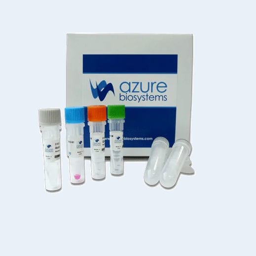 Dye reagent kit - AzureSpectra - Azure Biosystems - for antibody labeling