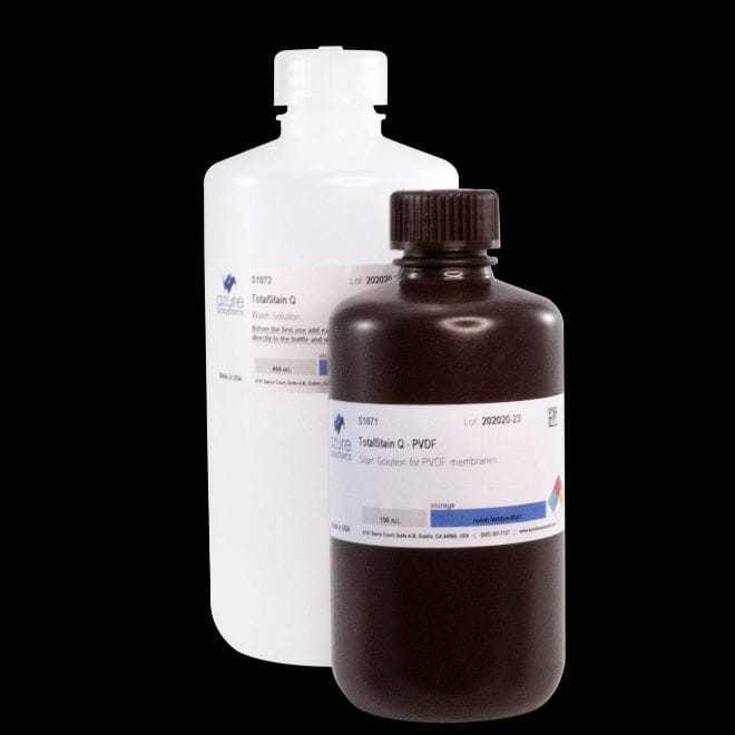 Stain reagent - PVDF - Azure Biosystems - tissue / for Western blot ...